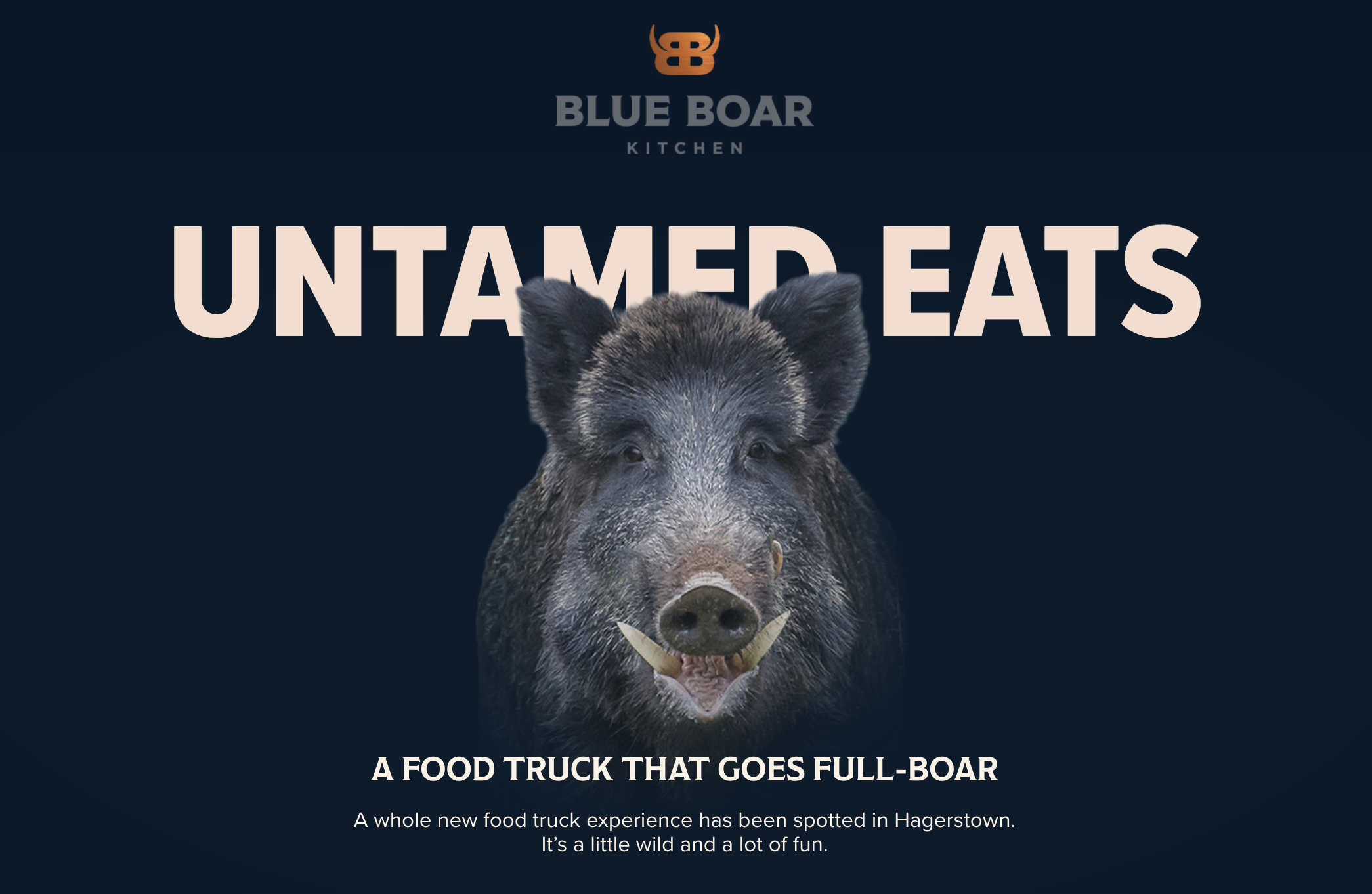 blue-boar-social.png